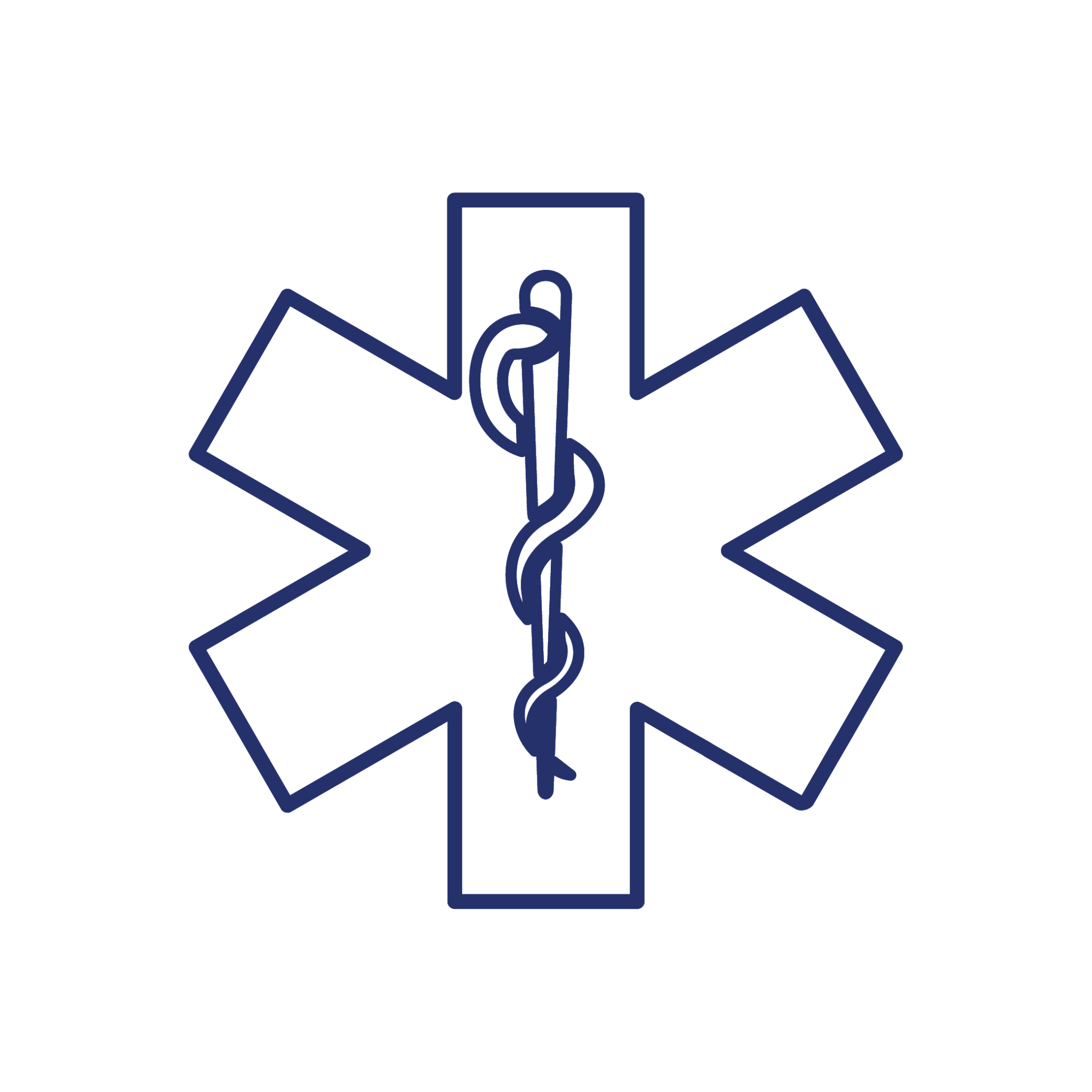 Services – Primary Care Solutions