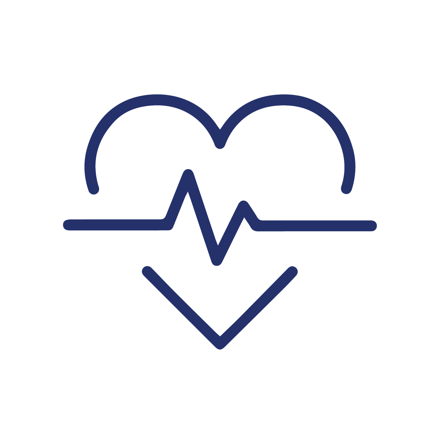 Services – Primary Care Solutions